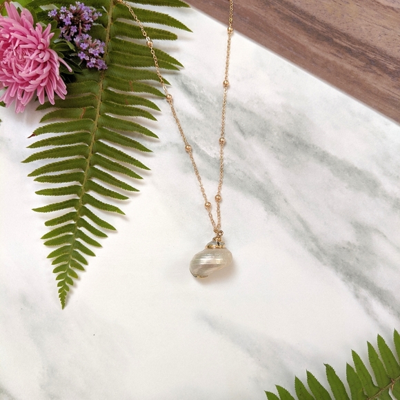Jewelry | Pearl Gold Shell Necklace Nwt | Poshmark
